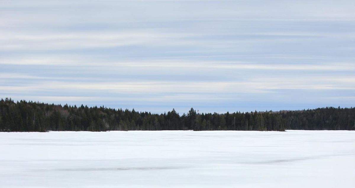 New Brunswick PNP (NBPNP): Full Program Overview